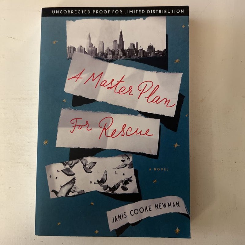 A Master Plan for Rescue by Janis Cooke Newman