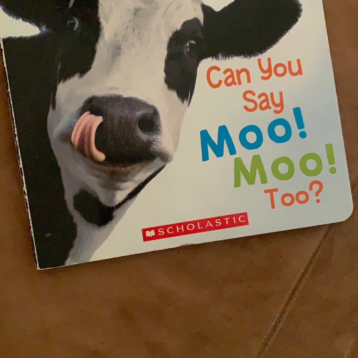 Can You Say Moo Moo Too by Anna Bardaus, Hardcover | Pangobooks