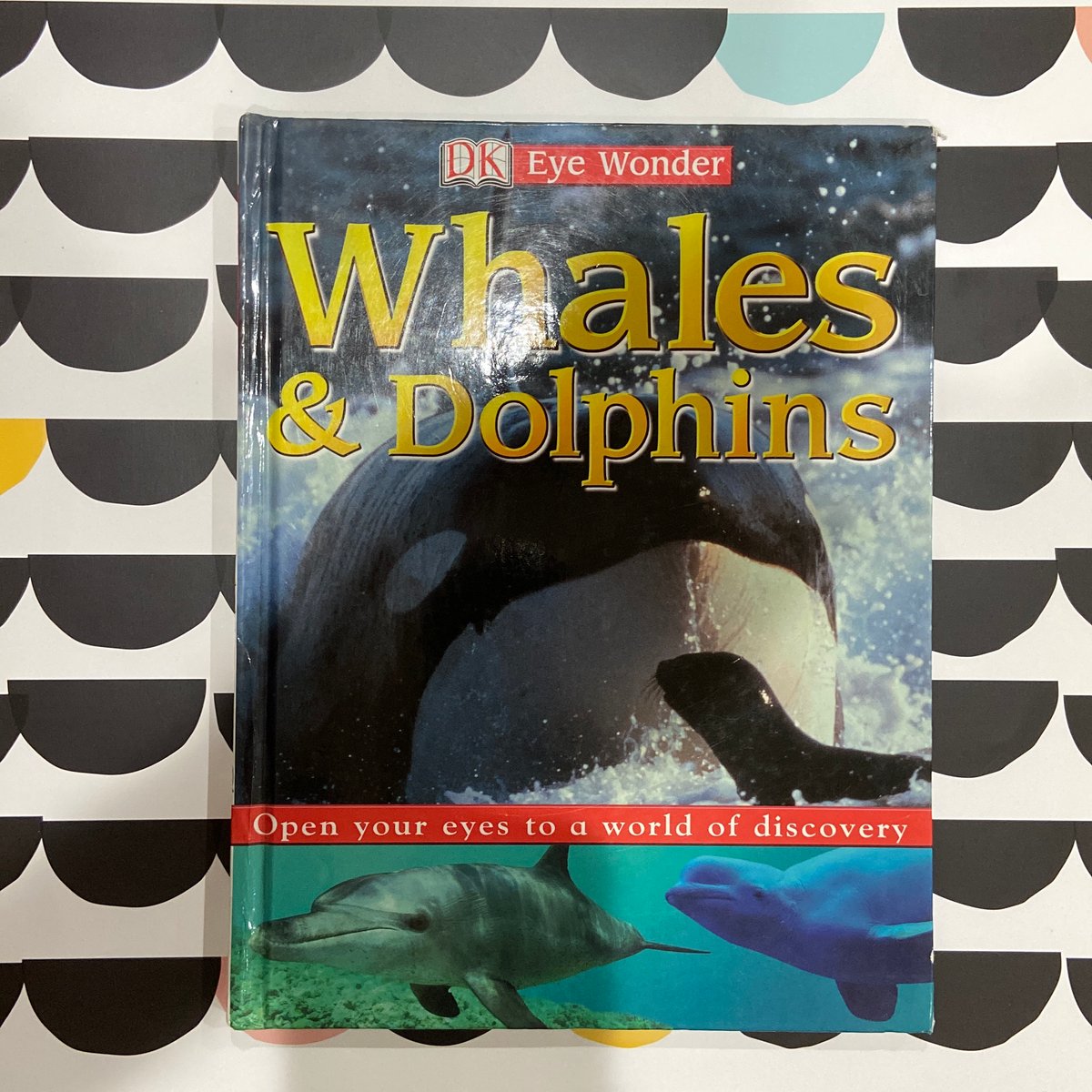Whales and Dolphins by Caroline Bingham