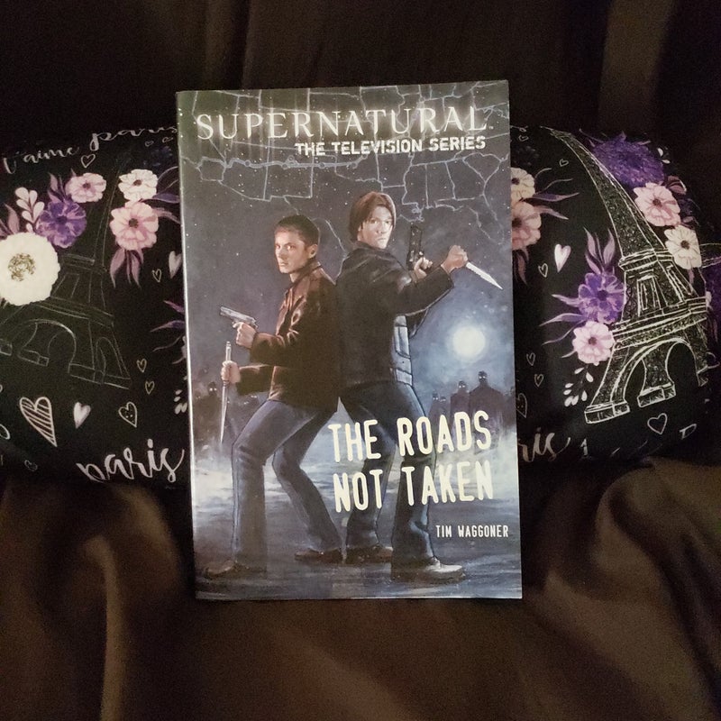 Supernatural, the Television Series by Tim Waggoner