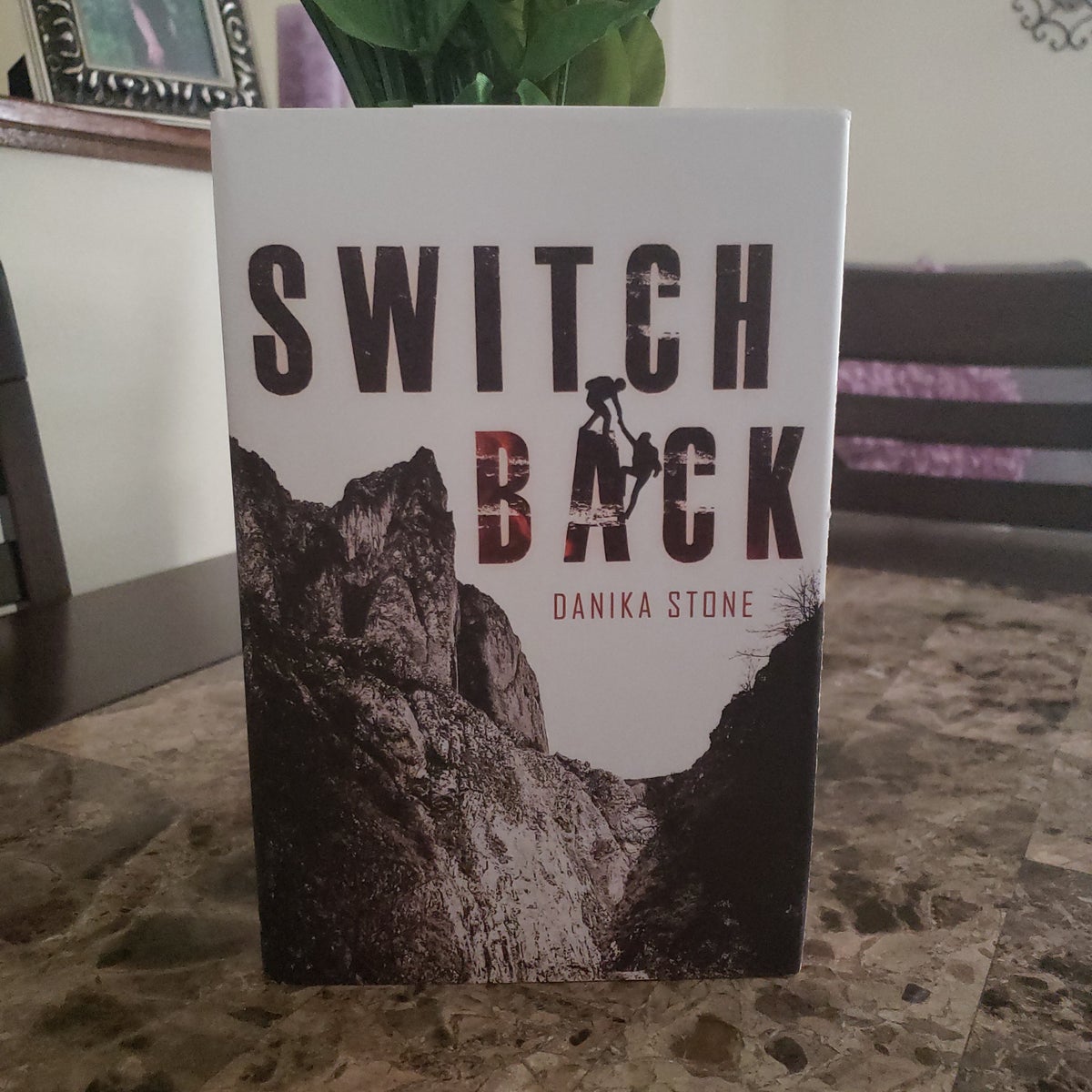 Switchback by Danika Stone