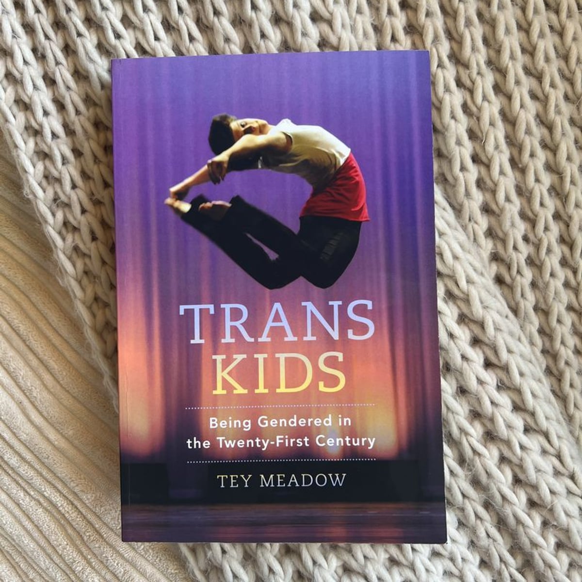 Trans Kids by Tey Meadow