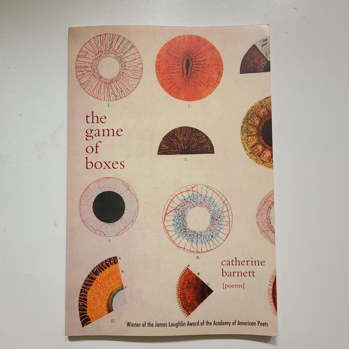 The Game of Boxes by Catherine Barnett
