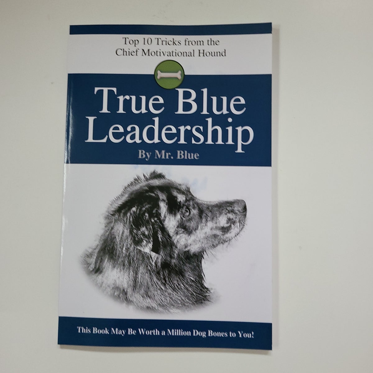 True Blue Leadership by Blue, Tracey C. Jones