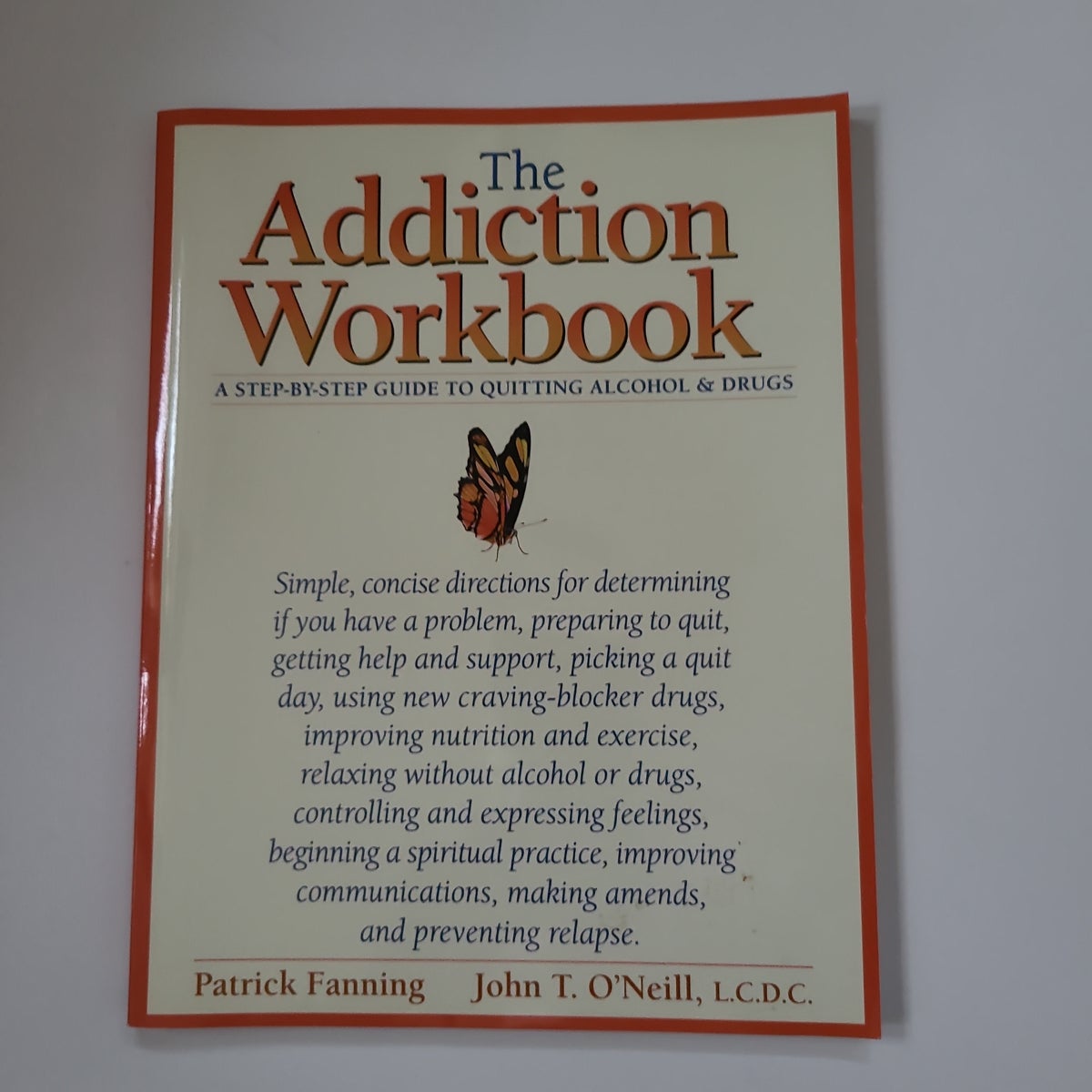 The Addiction Workbook by Patrick Fanning