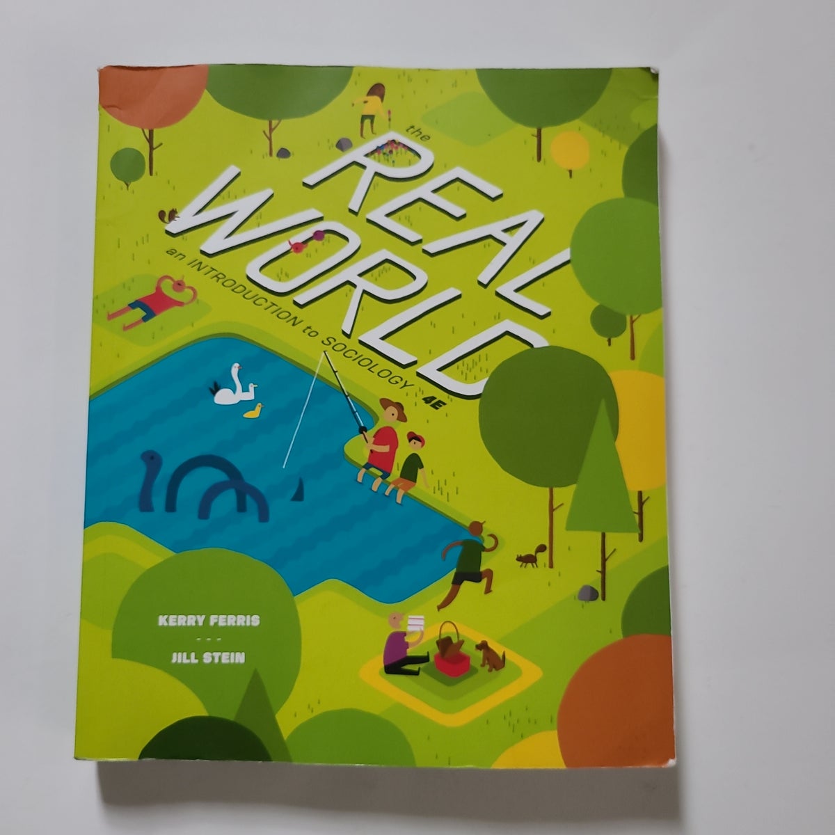 The Real World by Kerry Ferris, Jill Stein