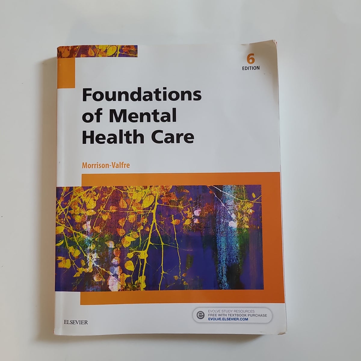 Foundations of Mental Health Care by Michelle Morrison-Valfre ...