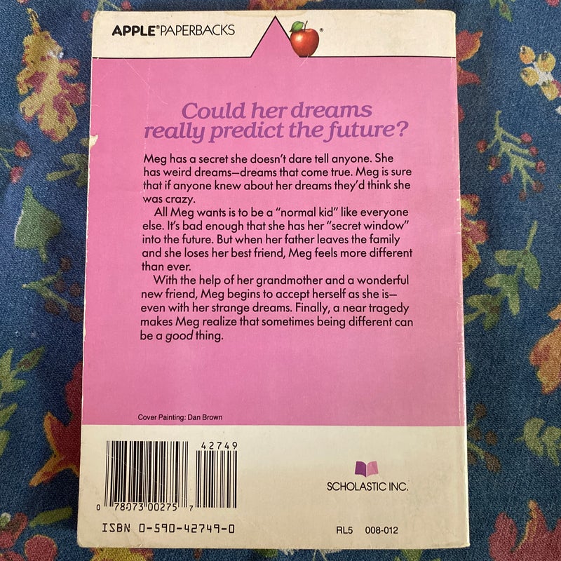 The Secret Window by Betty Ren Wright, Paperback | Pangobooks