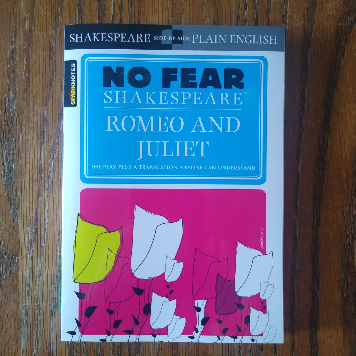 Romeo and Juliet (No Fear Shakespeare) by SparkNotes
