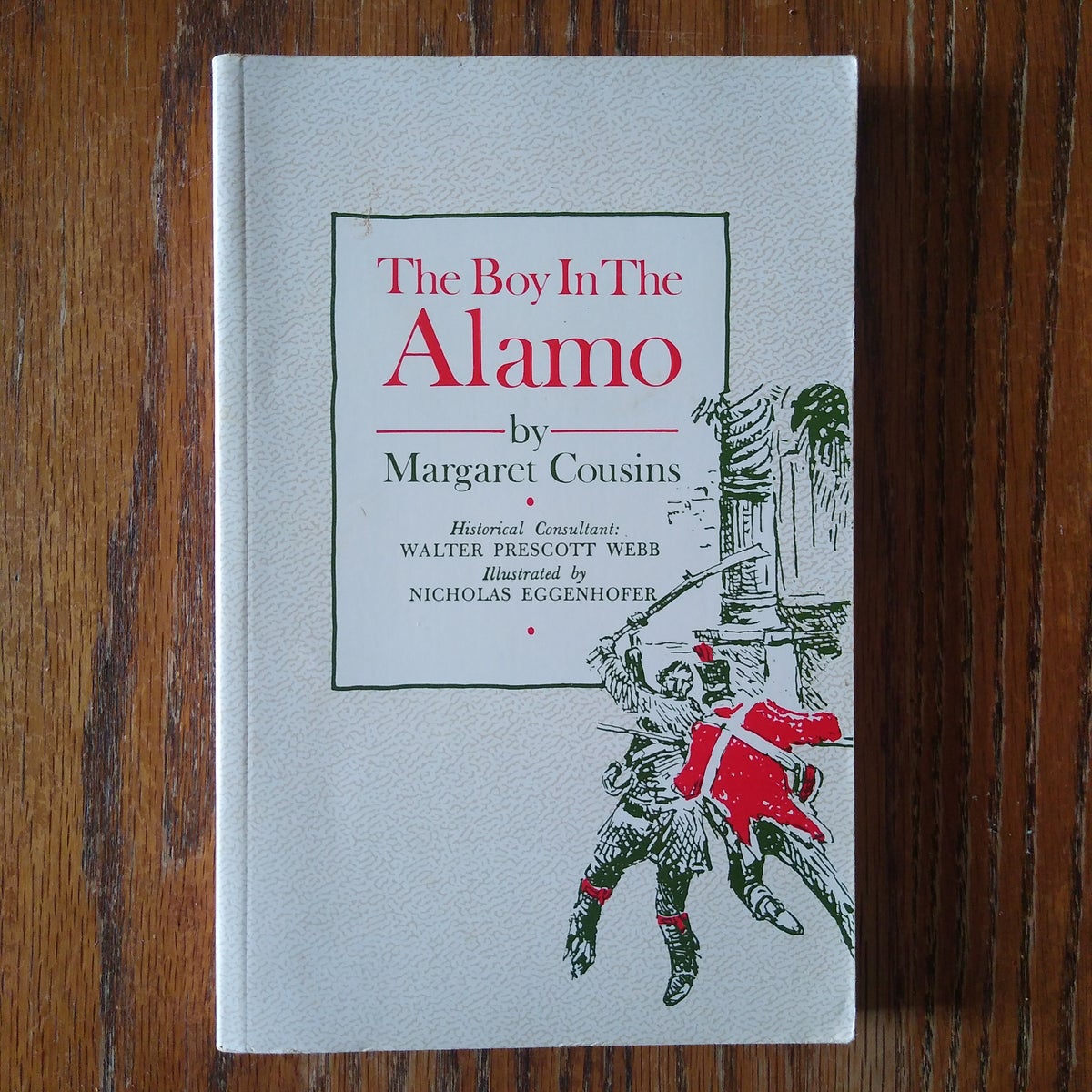 The Boy in the Alamo by Margaret Cousins