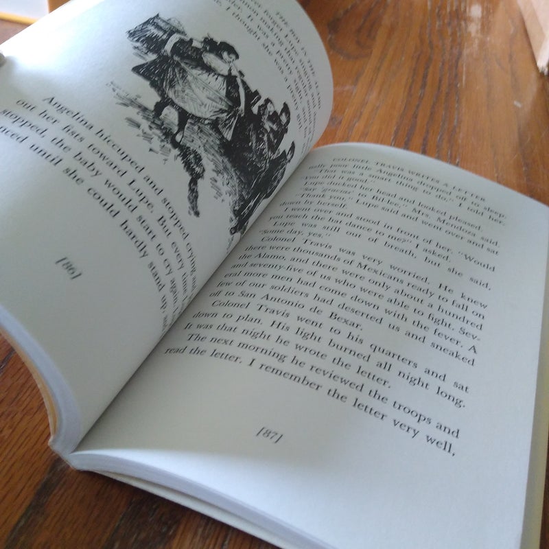 The Boy in the Alamo by Margaret Cousins