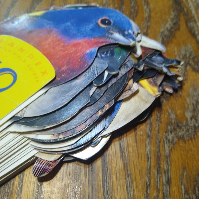 ⭐Fandex Family Field Guides: Birds by Michael W. Robbins, Paperback ...