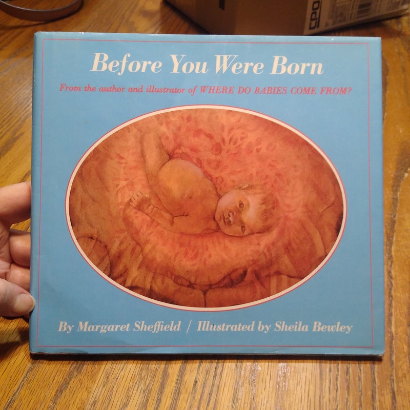 Before You Were Born by Margaret Sheffield