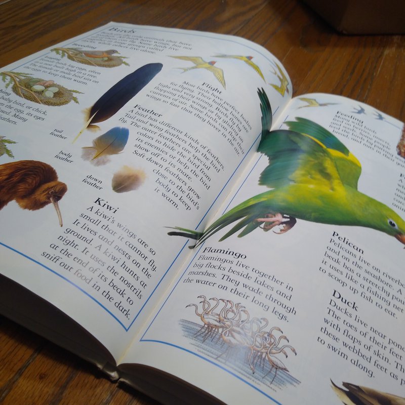 My First Encyclopedia by Carol Watson