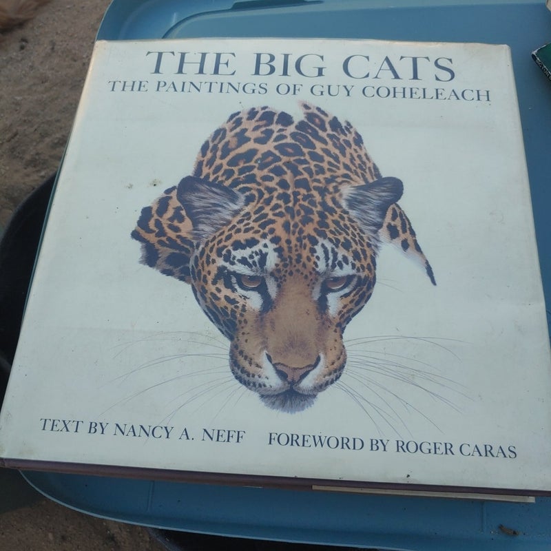 The Big Cats by Nancy A. Neff, Hardcover | Pangobooks