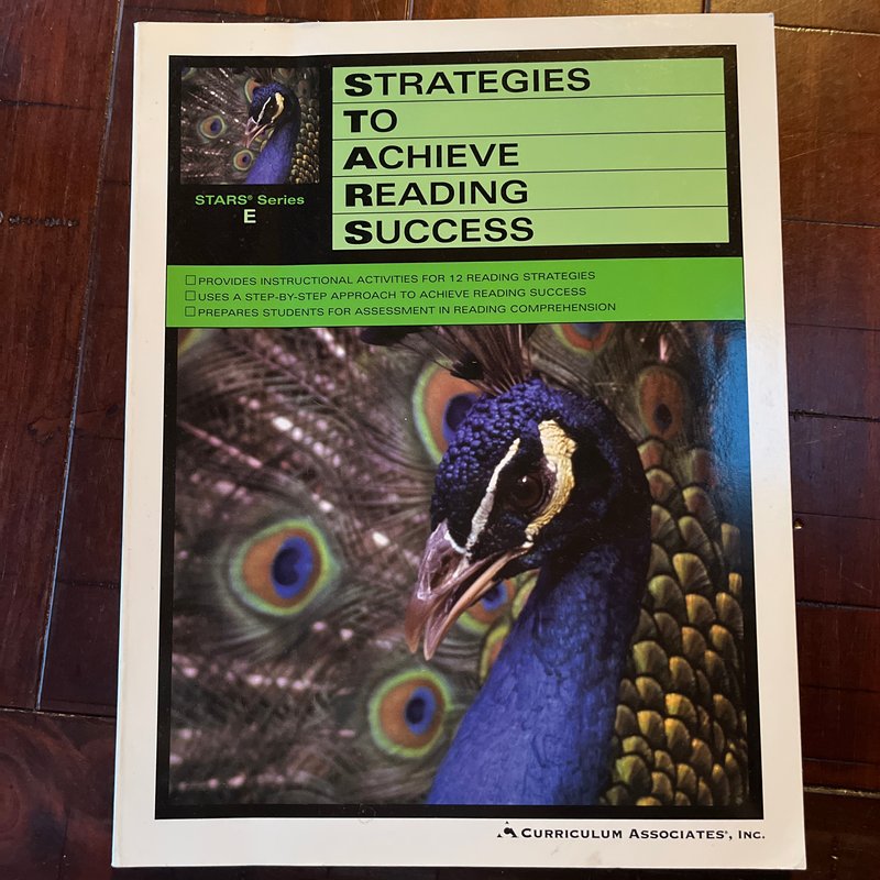 Strategies to Achieve Reading Success by Curriculum Associates Staff