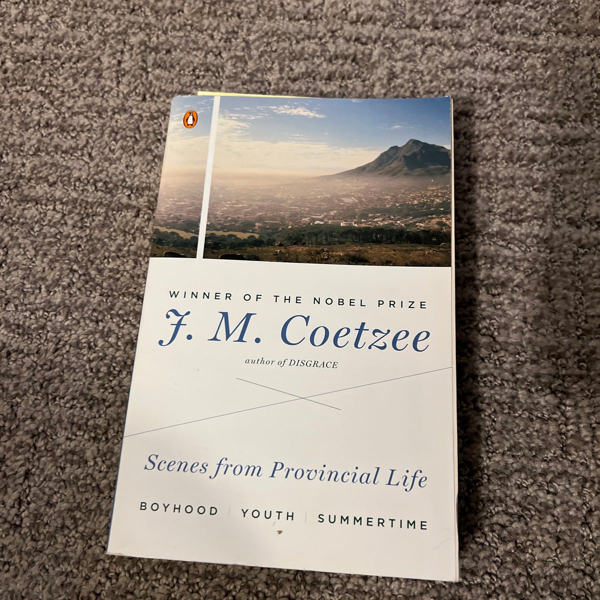 Scenes from Provincial Life by J. M. Coetzee