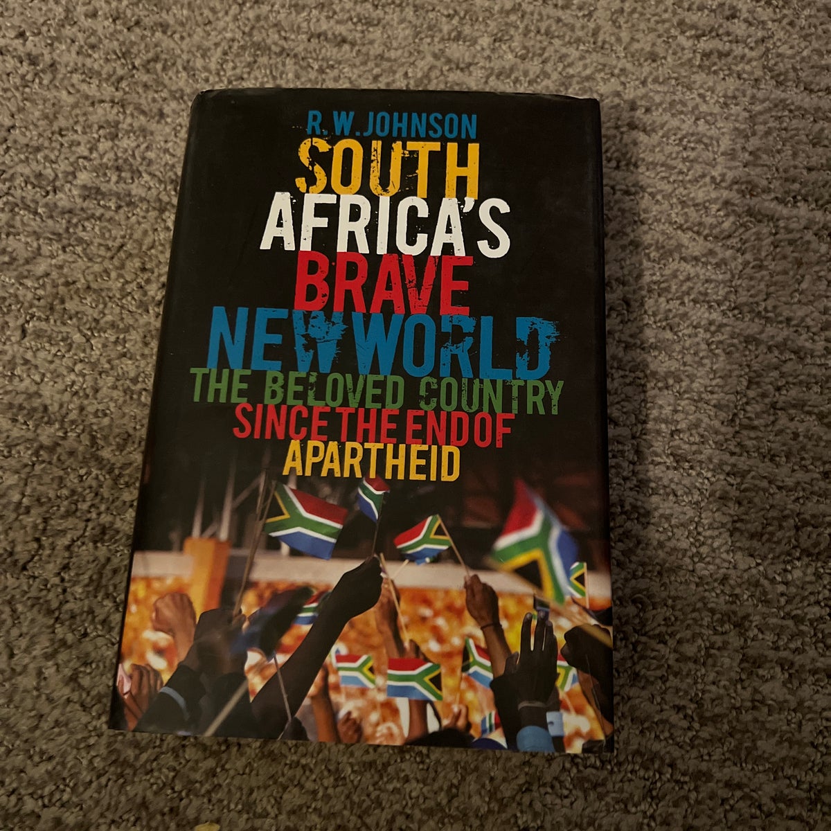 South Africa's Brave New World by R. W. Johnson, Hardcover | Pangobooks