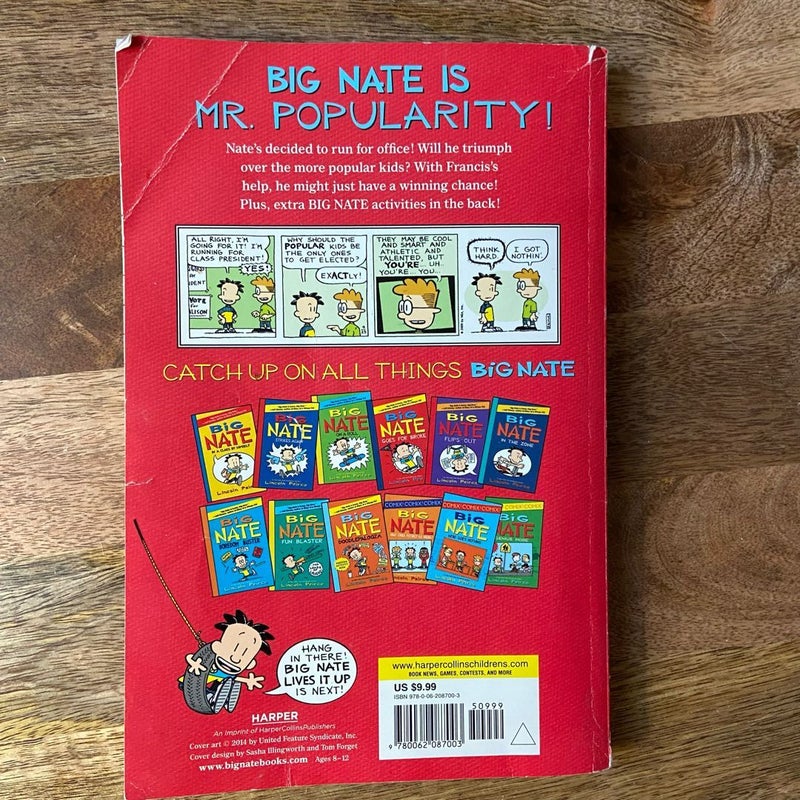 Big Nate: Mr. Popularity