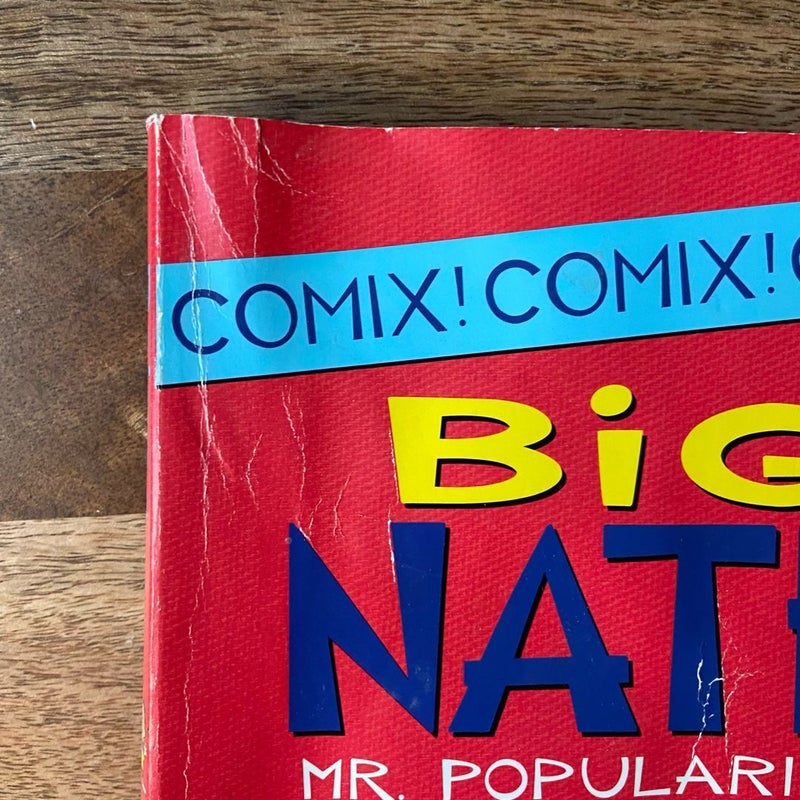 Big Nate: Mr. Popularity