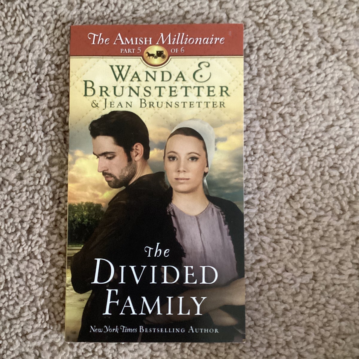 The Divided Family by Wanda E. Brunstetter, Jean Brunstetter