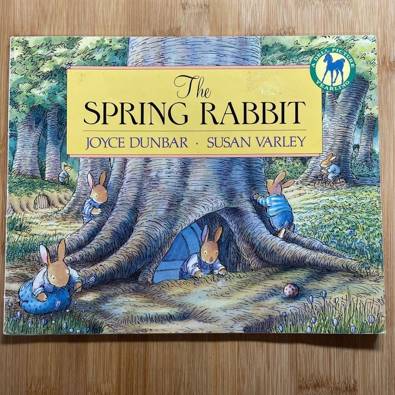 The Spring Rabbit by Joyce Dunbar, Paperback | Pangobooks