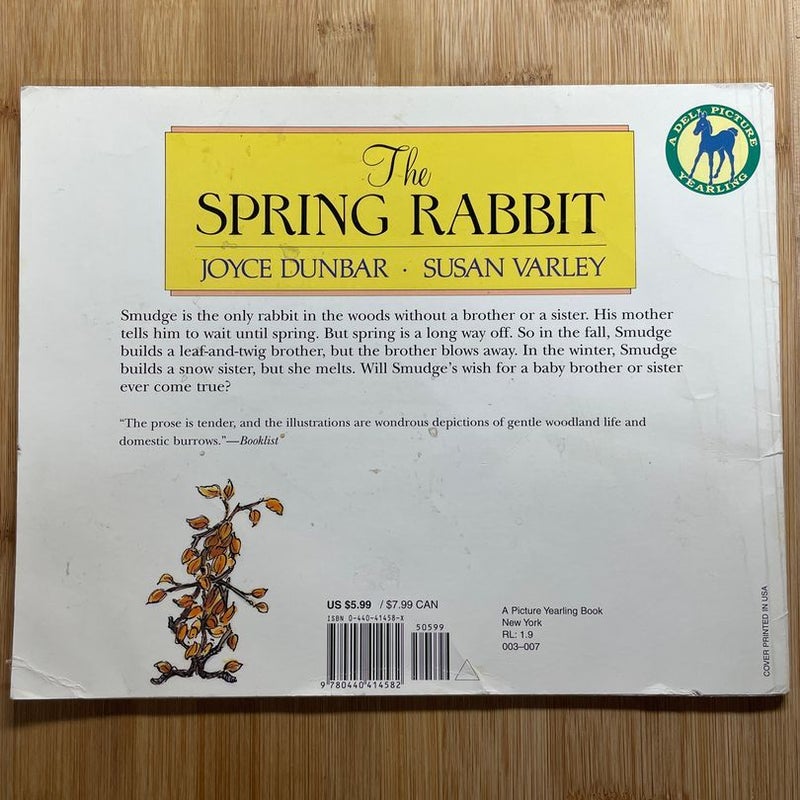 The Spring Rabbit by Joyce Dunbar, Paperback | Pangobooks