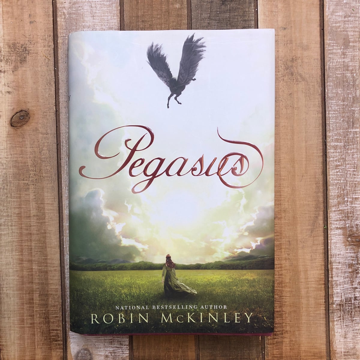 Pegasus by Robin McKinley, Hardcover | Pangobooks