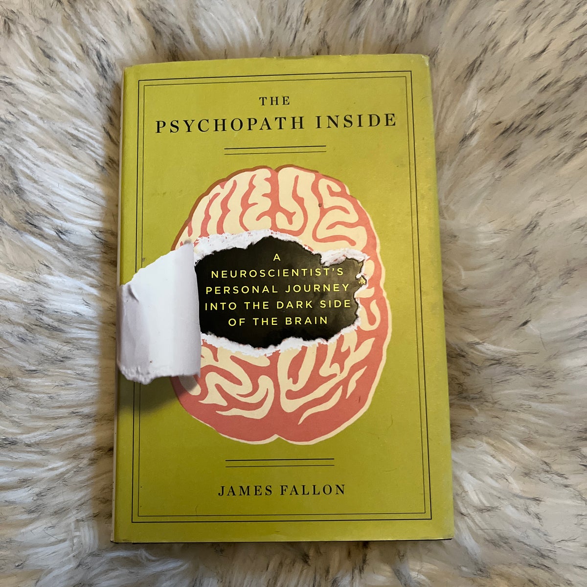 The Psychopath Inside