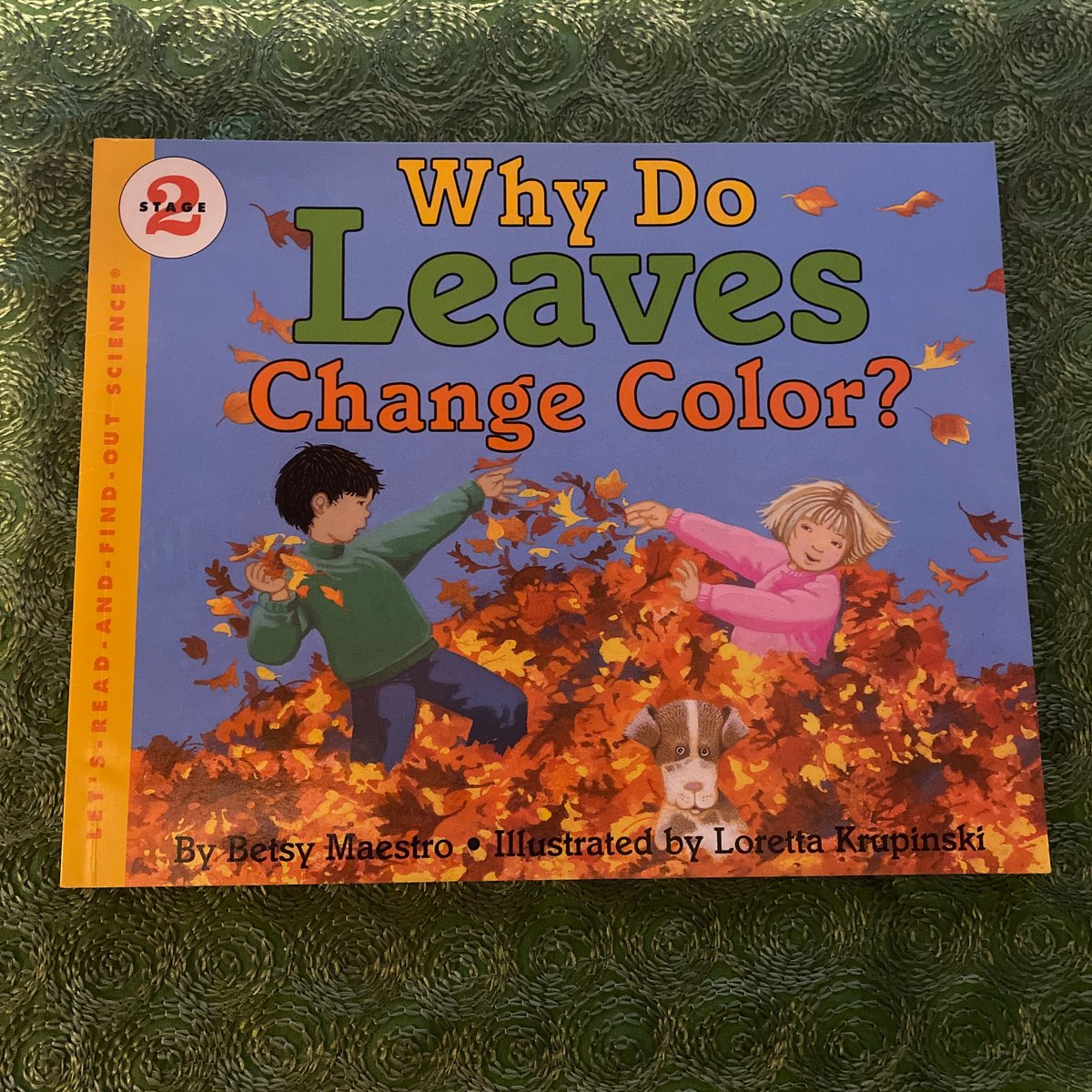 Why Do Leaves Change Color? by Betsy Maestro