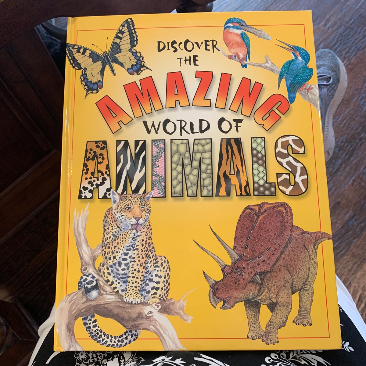 Discover the Amazing World of Animals by Steve Parker, Wendy Madgwick