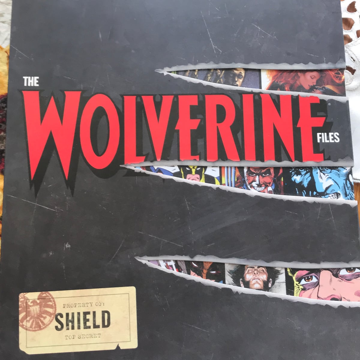 The Wolverine Files by Mike W. Barr