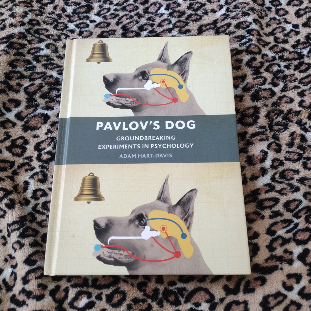 Pavlov's Dog by Adam Hart-Davis