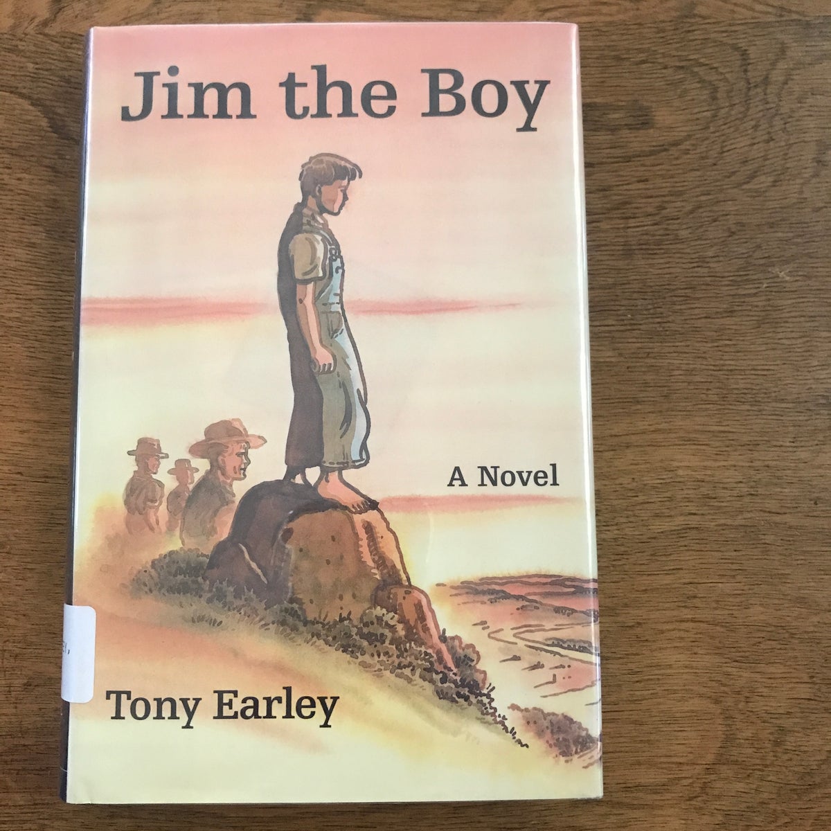 Jim the Boy by Tony Earley
