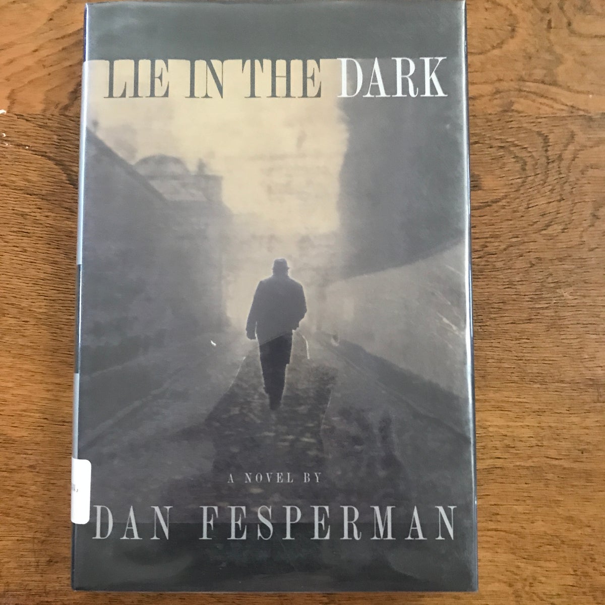 Lie in the Dark by Dan Fesperman