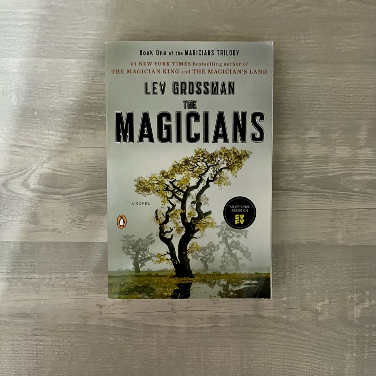 The Magicians by Lev Grossman, Paperback | Pangobooks