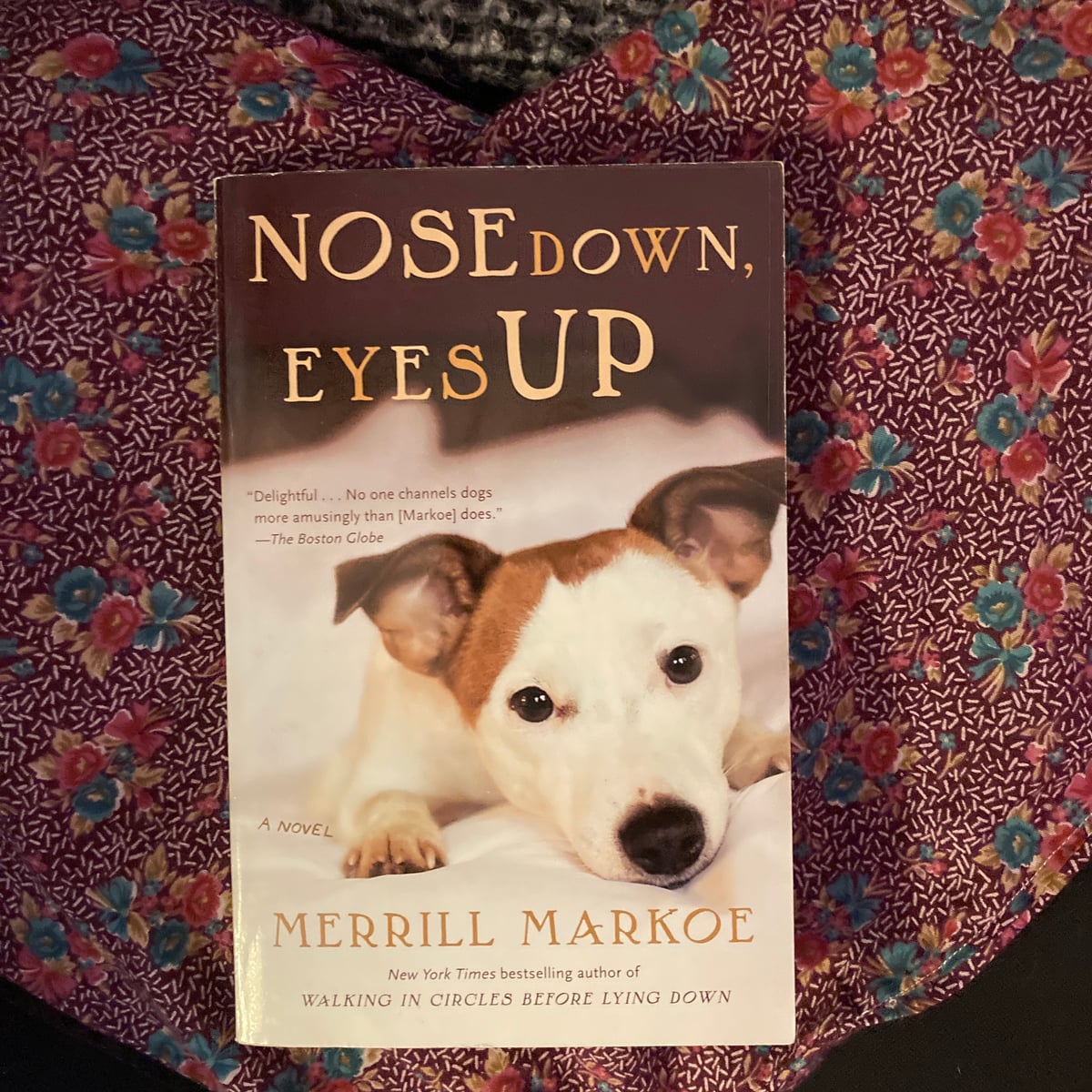 Nose down, Eyes Up by Merrill Markoe, Paperback | Pangobooks