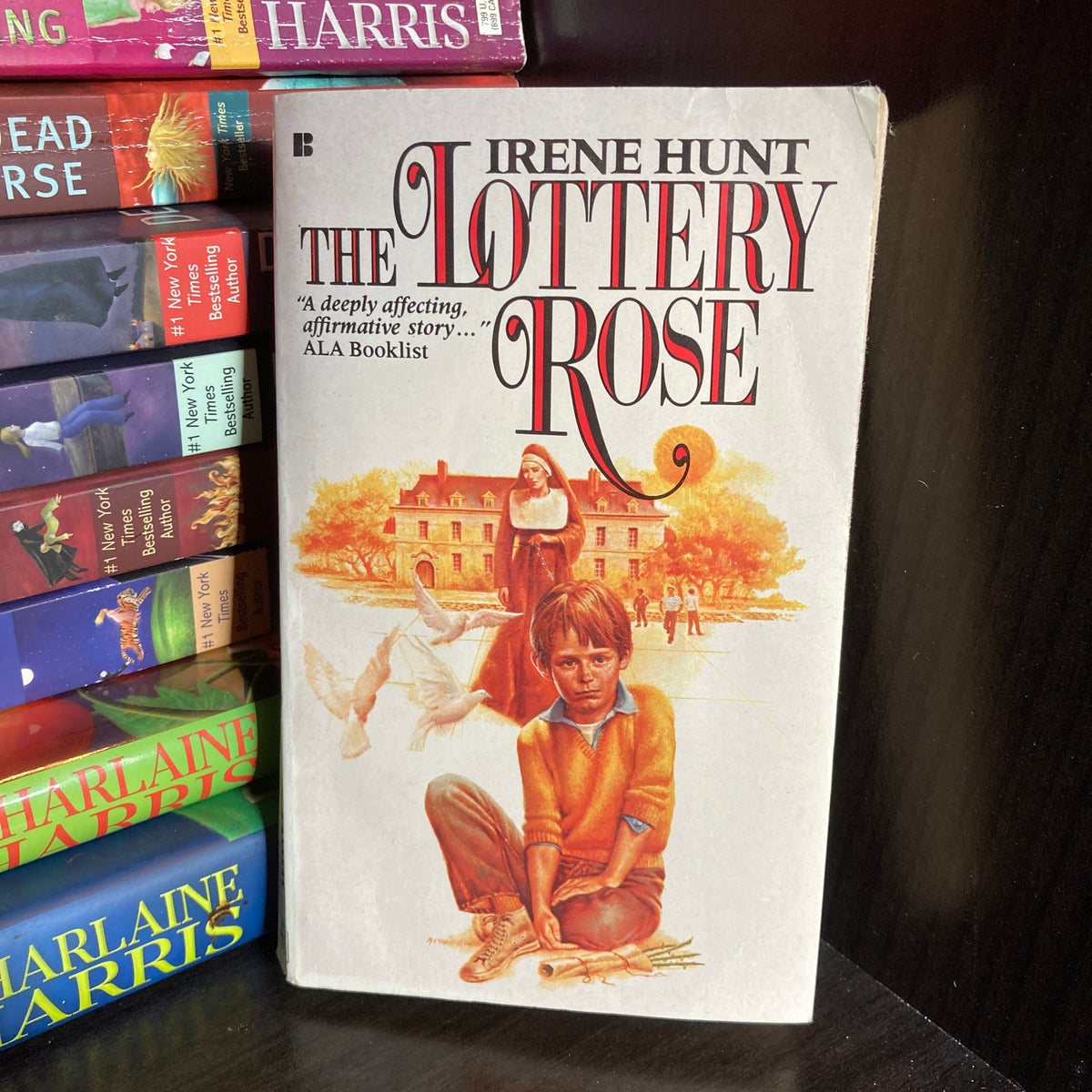 The Lottery Rose by Irene Hunt