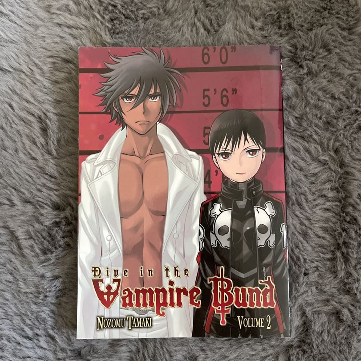 Dive in the Vampire Bund Vol. 2 by Nozomu Tamaki
