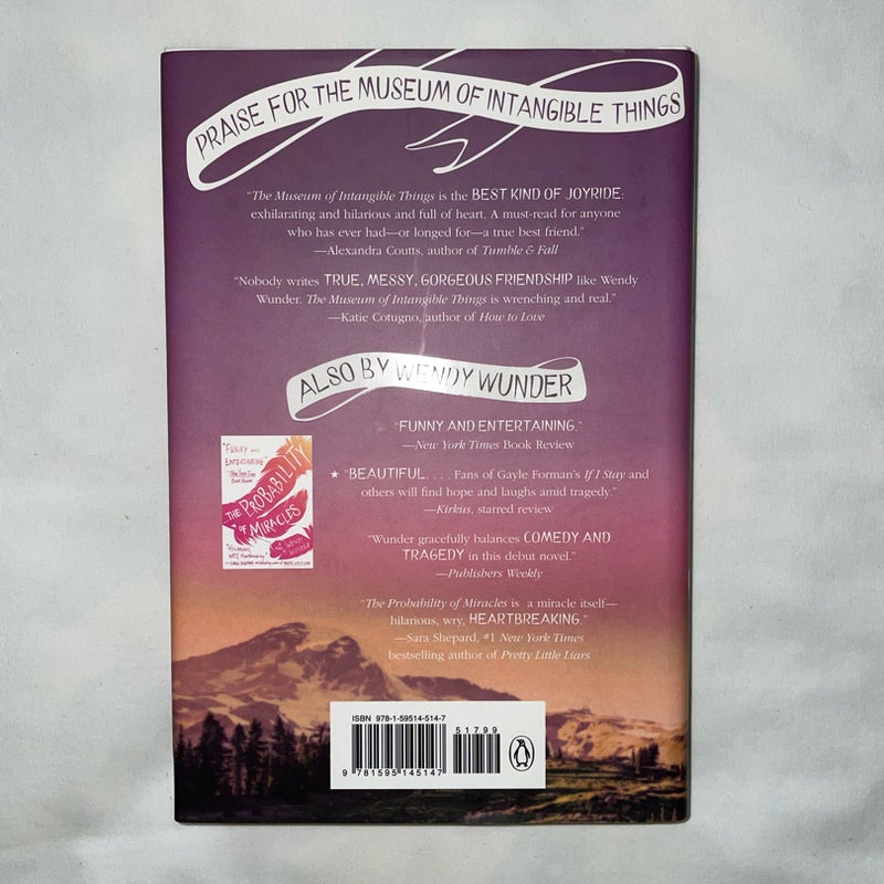 The Museum of Intangible Things by Wendy Wunder