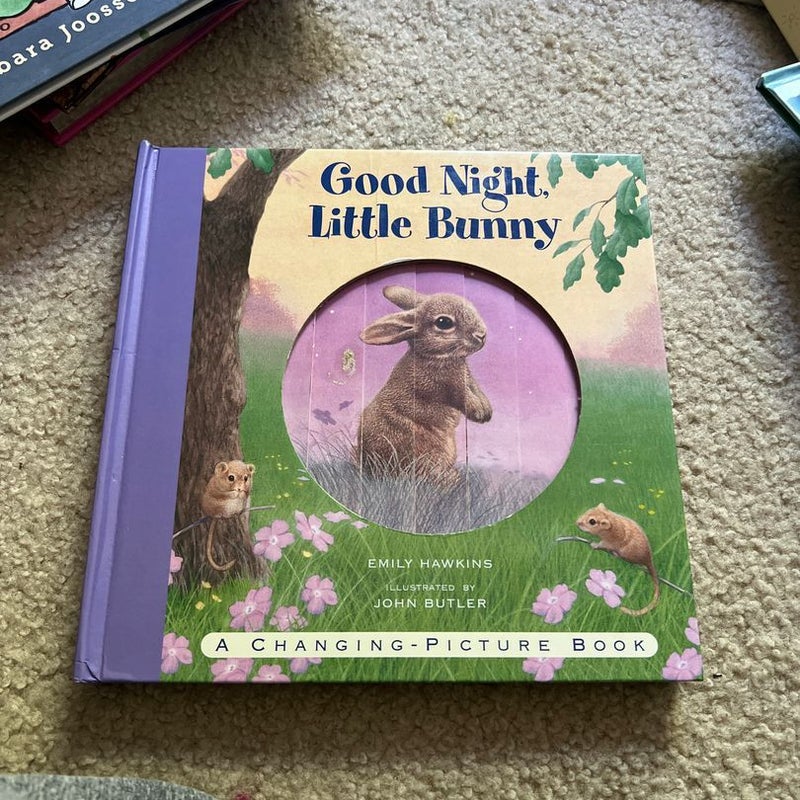 Good Night, Little Bunny by Emily Hawkins