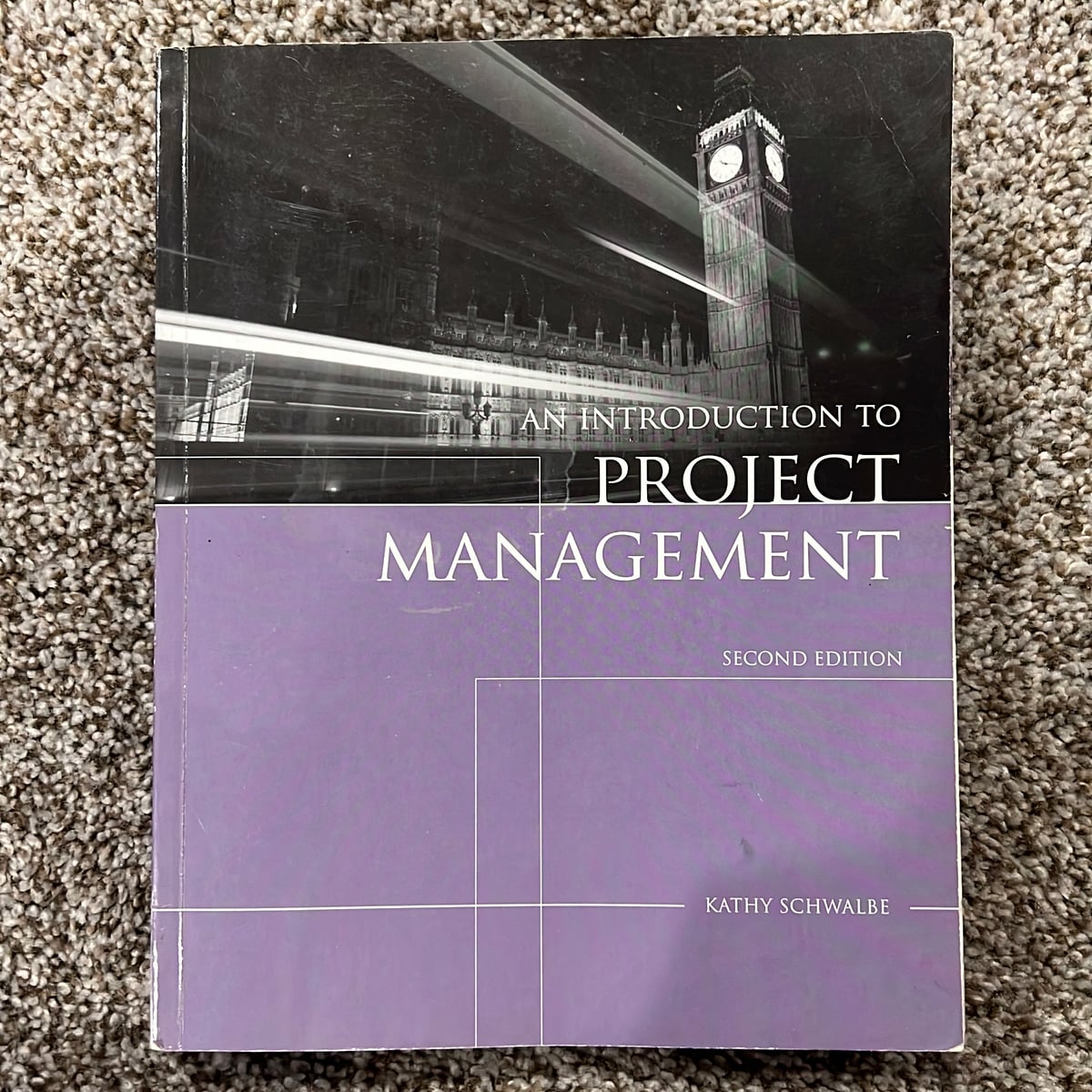 Introduction to Project Management by Kathy Schwalbe