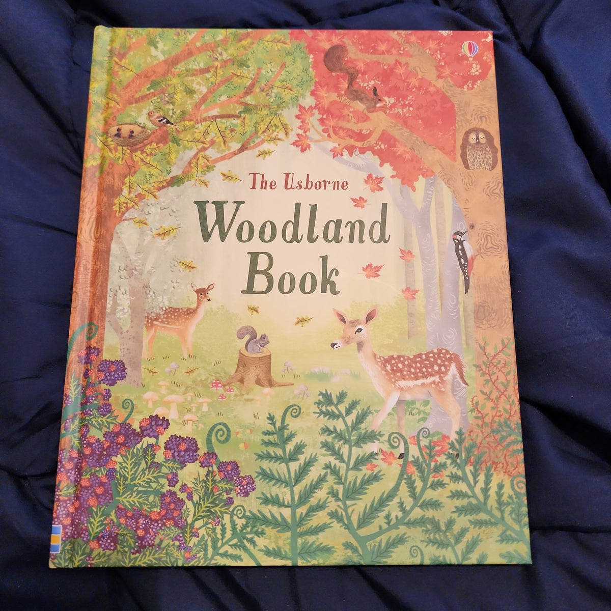 The Usborne Woodland Book IR by Emily Bone, Alice James