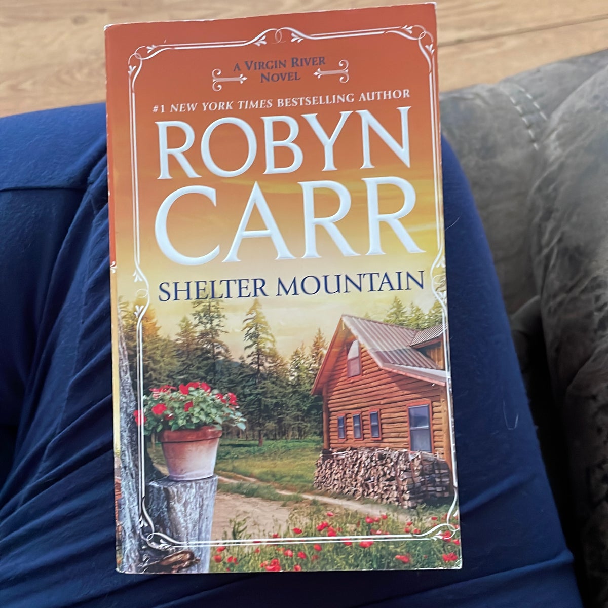 Shelter Mountain by Robyn Carr