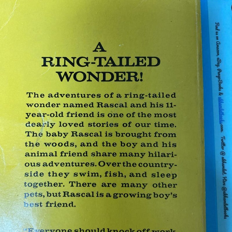 Rascal by Sterling North, Paperback | Pangobooks