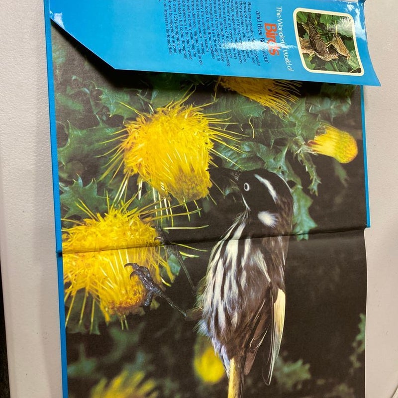 The Wonderful World of Birds and Their Behaviour by Donald Broom