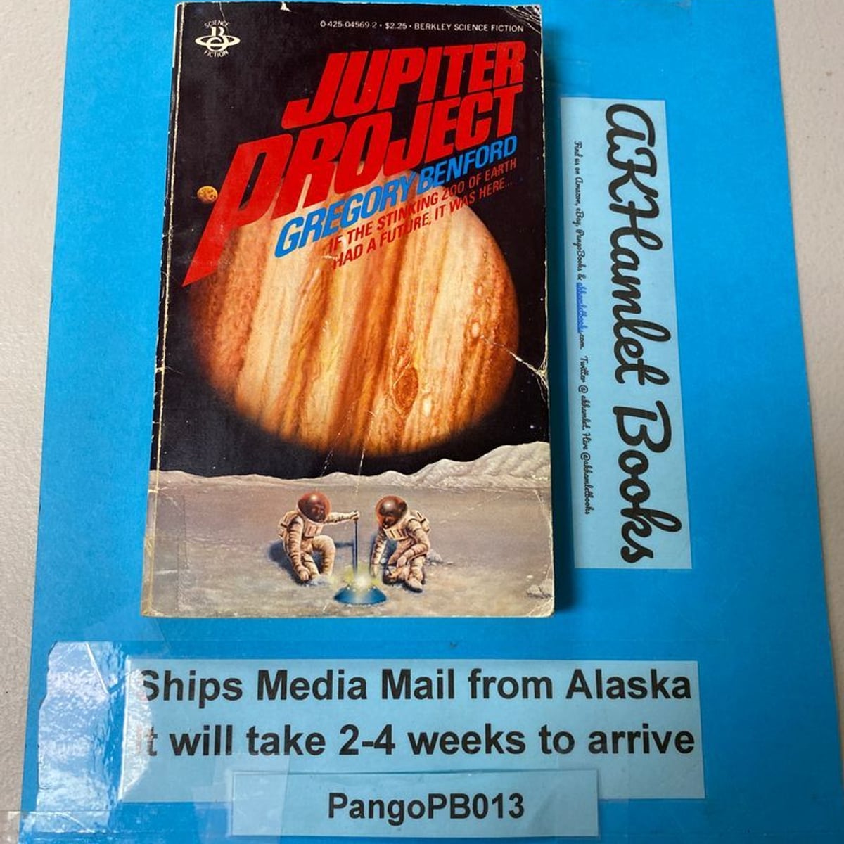 The Jupiter Project by Gregory Benford, Paperback | Pangobooks