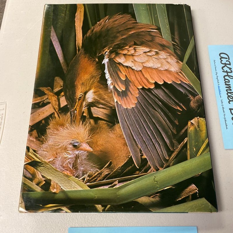 The Nesting Season by Frederick Truslow, Olin S. Pettingill