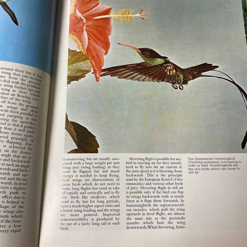 The Wonderful World of Birds and Their Behaviour by Donald Broom