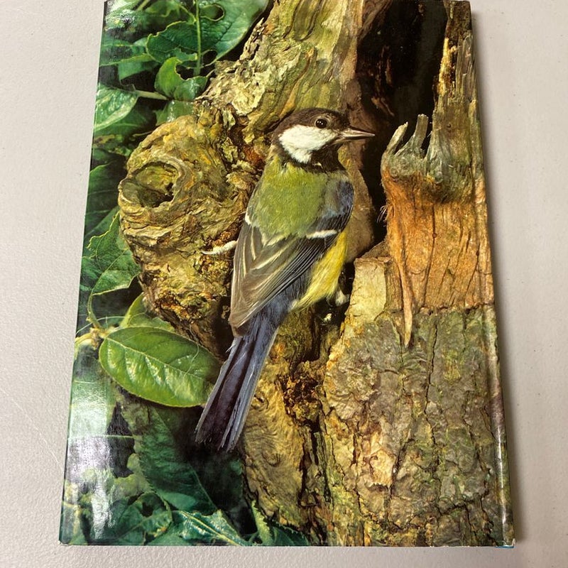 The Wonderful World of Birds and Their Behaviour by Donald Broom